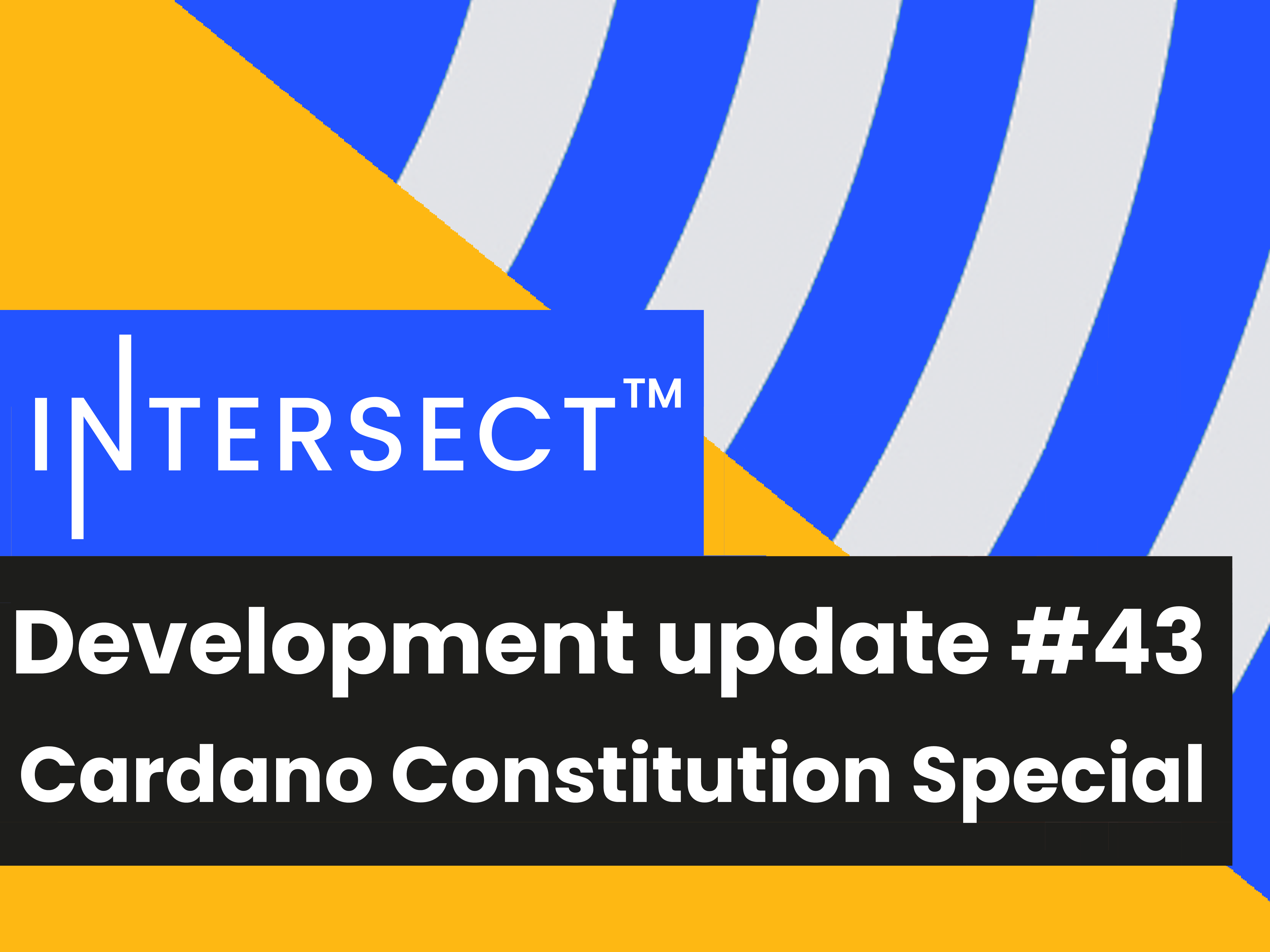 Intersect Development Update #43 - Cardano Constitution Special - December 6th
